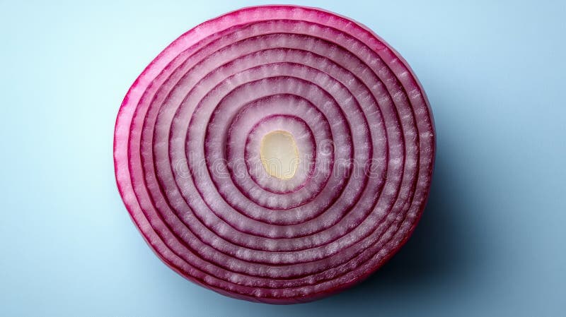 One Red Onion Showing Off it`s Bottom Stock Image - Image of onions ...