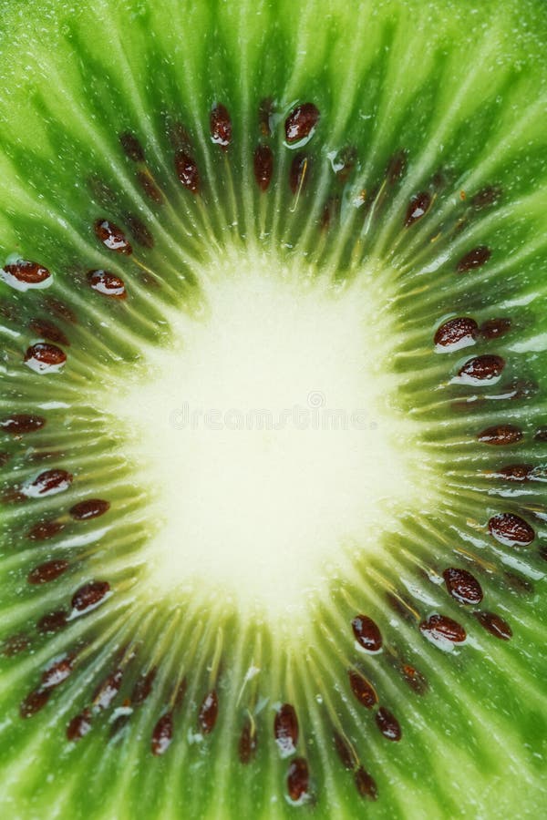 Slice of Ripe Kiwi Fruit in Full Screen Close-up Stock Photo - Image of ...