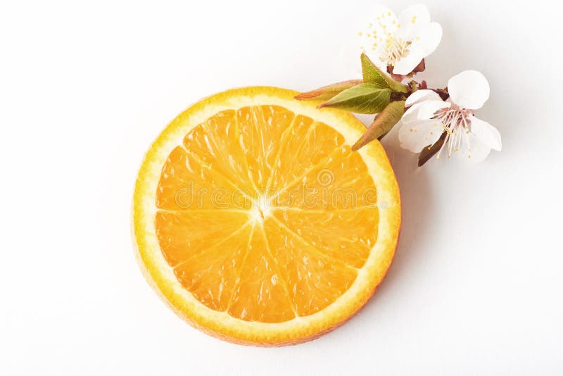 Slice Ripe Orange Citrus Fruit Isolated on White Background Stock Image ...