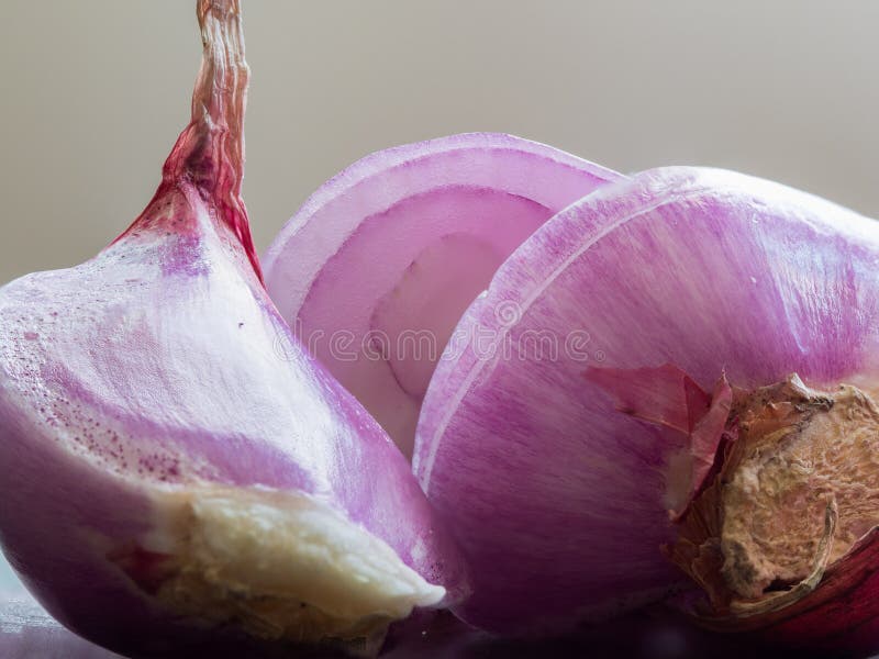 Shallot root stock image. Image of vegetarian, cooking - 52367295