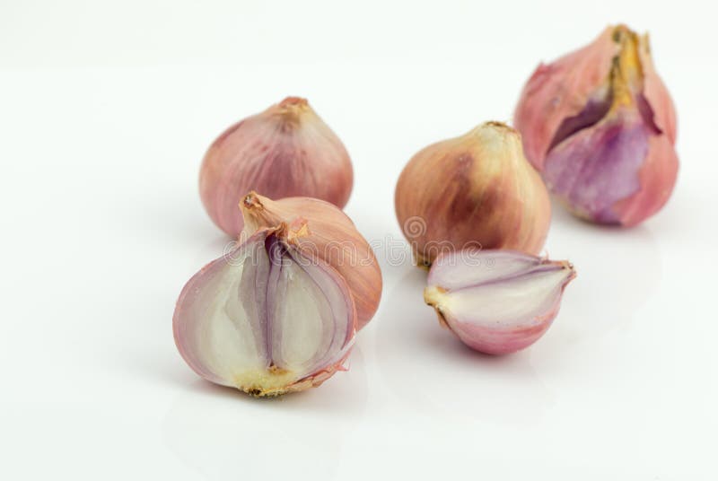 Slice Shallot on White Background Stock Image - Image of shallots ...
