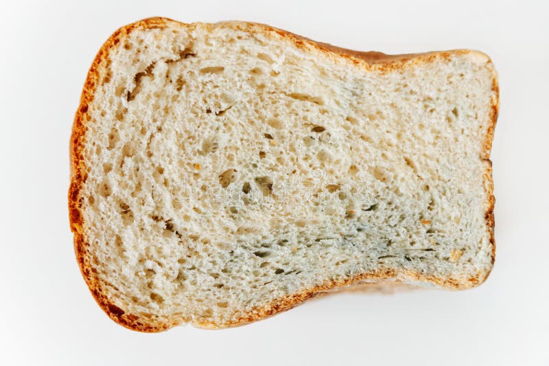 Slice of Spoiled Wheat Bread with Mold Isolated on a White Background ...
