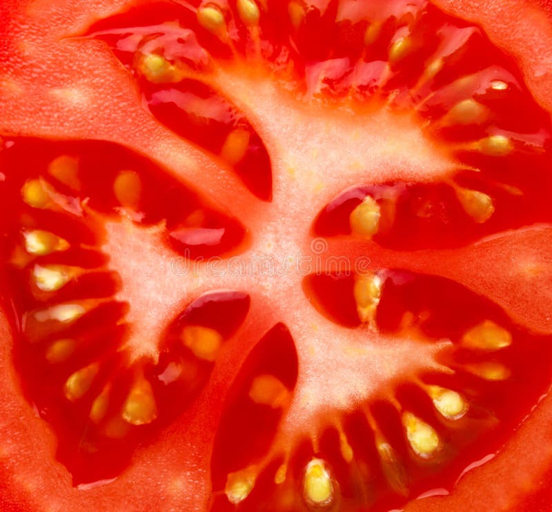 Slice of tomato stock photo. Image of fresh, chop, healthy - 35181042
