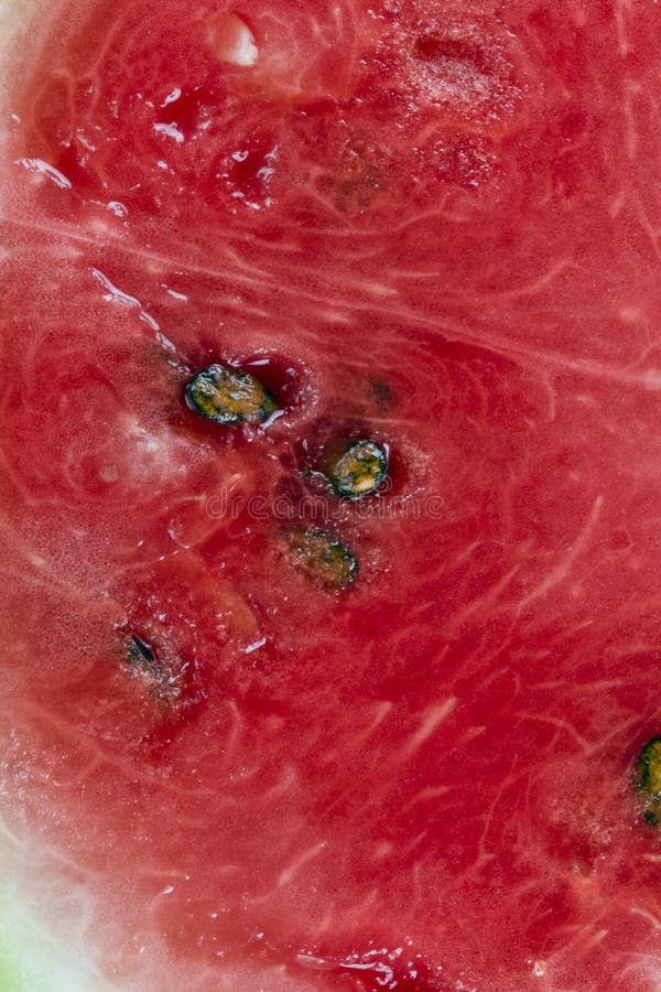 Slice of watermelon stock photo. Image of catalan, macro - 126853702