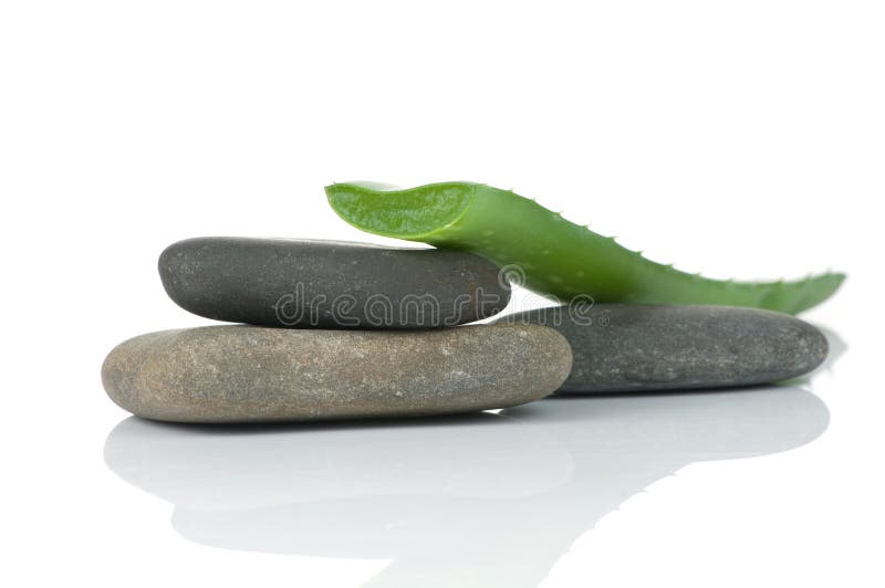 Sliced Aloe Leaves on the Stone Stock Image - Image of health, macro ...
