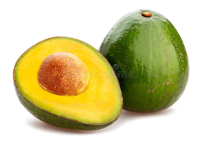 Avozilla avocado stock photo. Image of avocados, fruit - 151427654