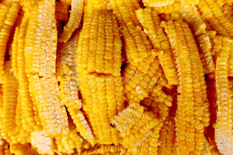 Sliced Boiled Corn in Order, Ready for Eat and with Sugar, Close Up ...