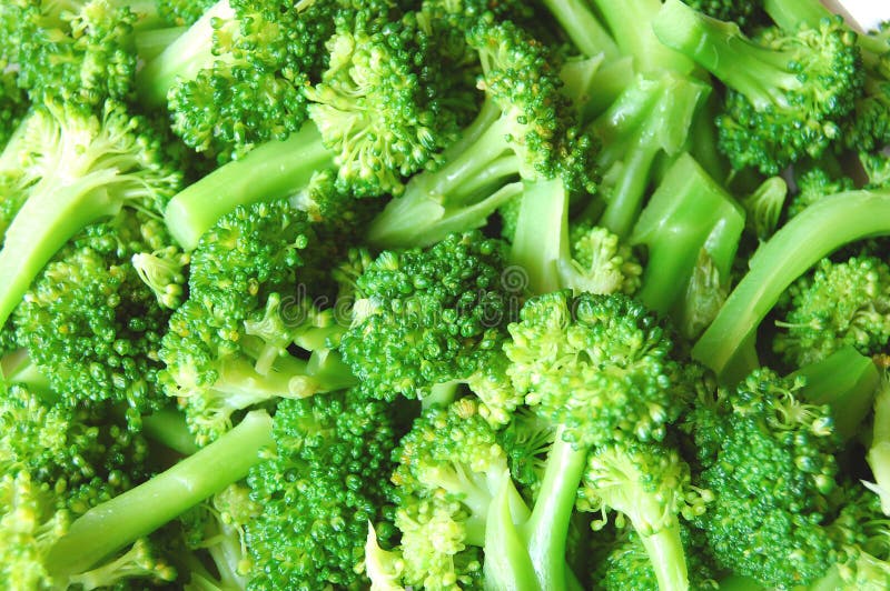Fresh broccoli stock photo. Image of aliment, refreshment - 3507716