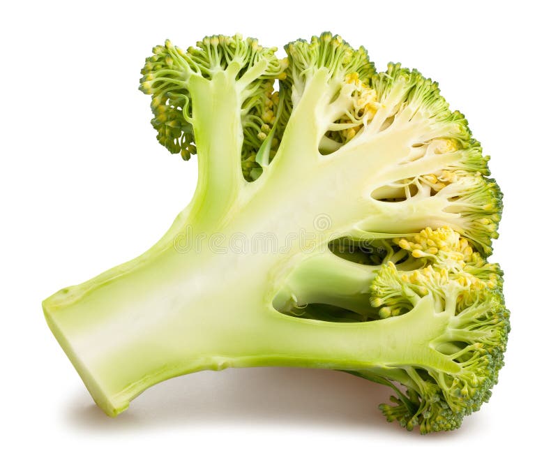 Broccoli stock photo. Image of vegetable, slice, ripe - 132446658