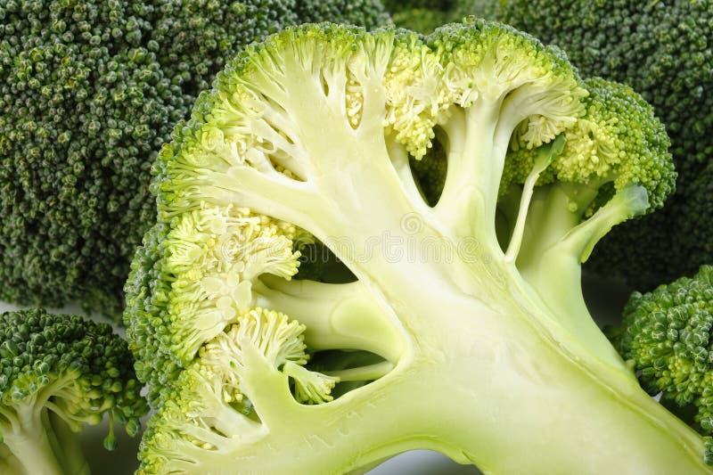 Sliced Broccoli stock image. Image of healthy, plant - 44319005