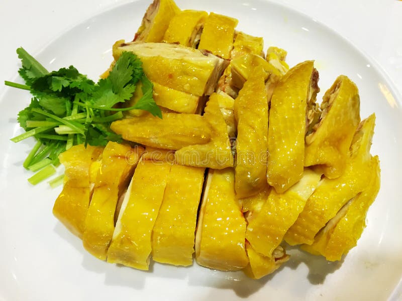 Bowl of Boiled Chicken stock image. Image of gourmet - 59488175