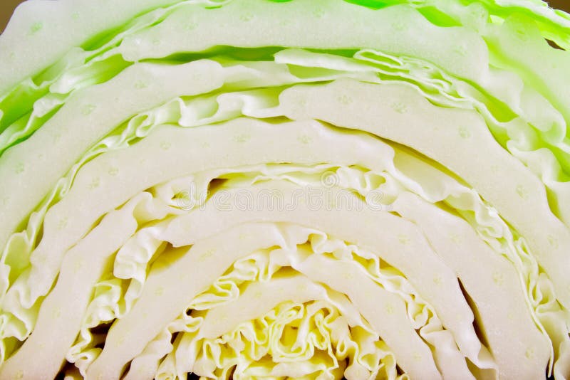 Chinese cabbage texture stock image. Image of vegetable - 136967267