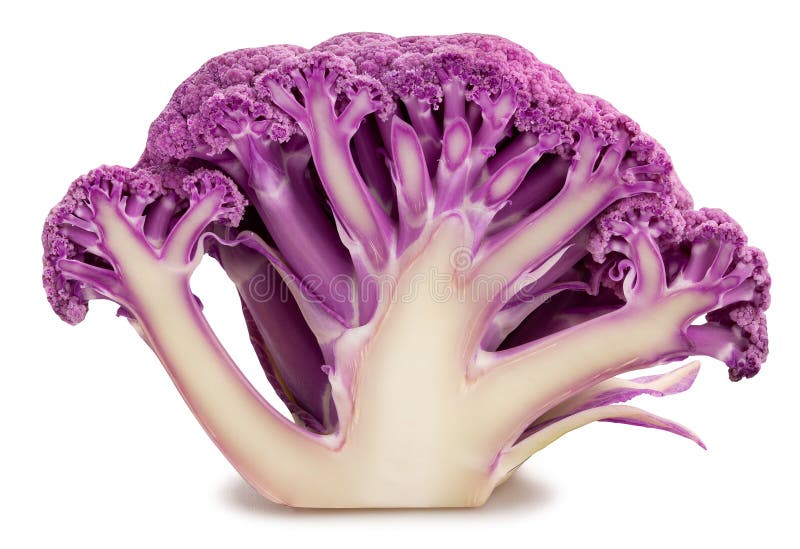 Colored cauliflower stock photo. Image of slice, food - 151427740