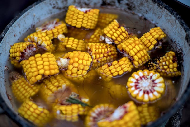 Sliced Corn in a Bucket, Overhead View Stock Photo - Image of still ...