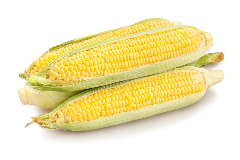 Sliced corn path isolated stock photo. Image of yellow - 262872932