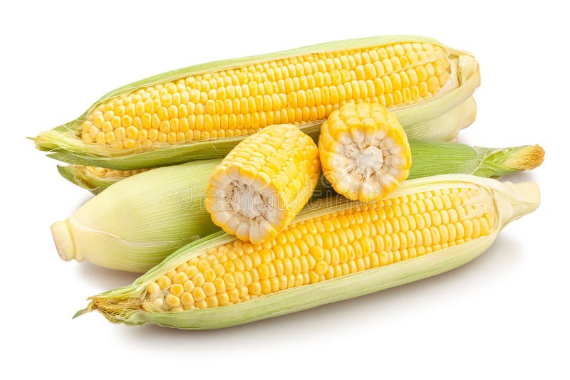 Sliced corn path isolated stock image. Image of healthy - 262872927