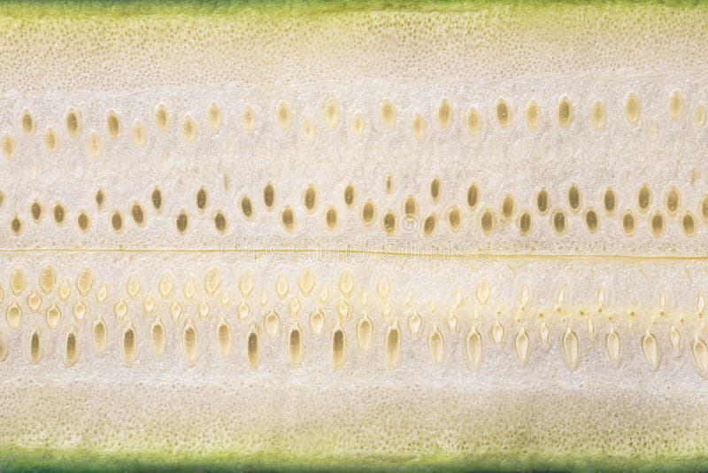 Sliced Courgette Close-Up stock image. Image of food - 232578563