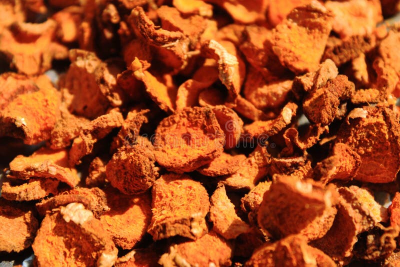 Sliced Cut Turmeric in Sunlight for Drying Process Stock Photo - Image ...