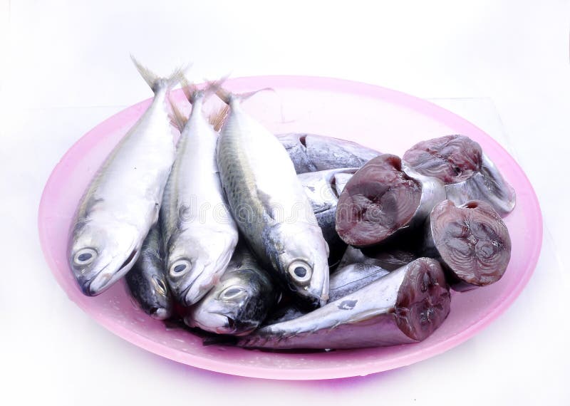 Sliced Fish stock photo. Image of meat, dill, fillet - 28768516