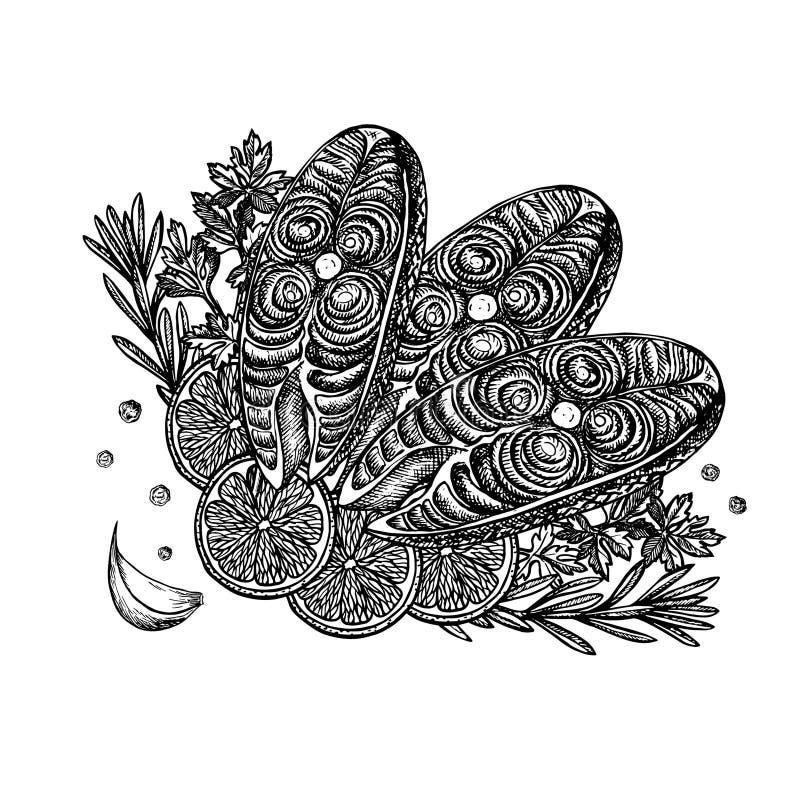 Sliced Fish with Vegetables. a Vector Graphic Illustration Made by Hand ...