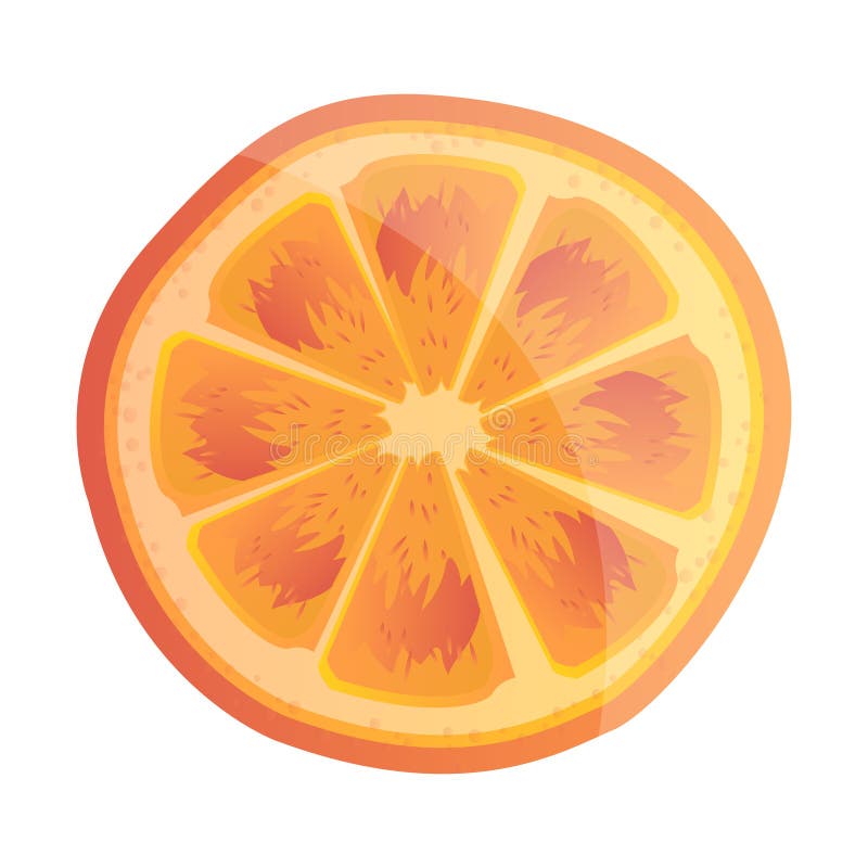 Sliced Fresh Fruit Citrus Orange Cartoon Illustration Image Stock ...