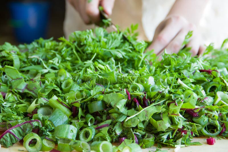 Sliced fresh lettuce. stock photo. Image of lettuce, closeup - 74679370
