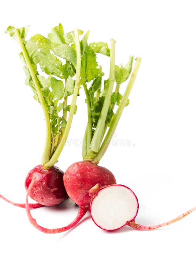 Sliced Fresh Red Radish on White Stock Image - Image of health, small ...