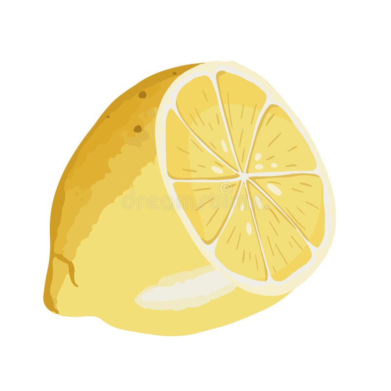 Sliced Fresh Yellow Lemon. Vector Fruit Illustration Cut Out Stock ...