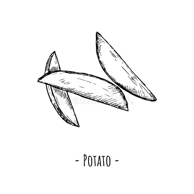 Roasted Potatoes Drawing Stock Illustrations – 93 Roasted Potatoes ...