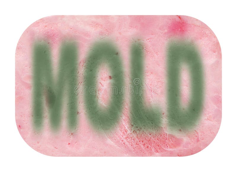 Safety First stock photo. Image of building, woodworking - 10649204