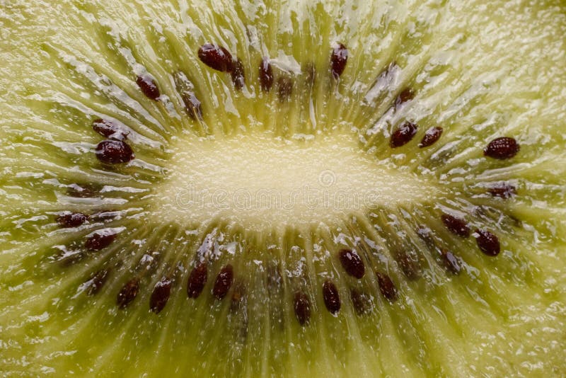 Kiwi texture. close-up stock photo. Image of food, seed - 166780118