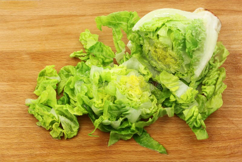 Sliced Lettuce on a Cutting Board Stock Image - Image of eating, summer ...