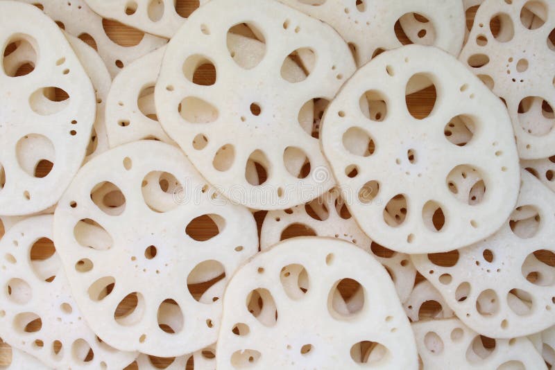 Sliced lotus root stock image. Image of pole, fresh, japanese - 28428951