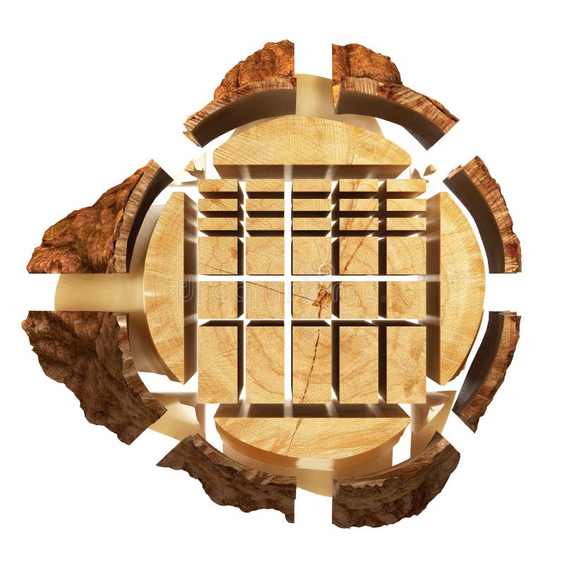 Sliced Lumber from the Log. Stock Illustration - Illustration of forest ...