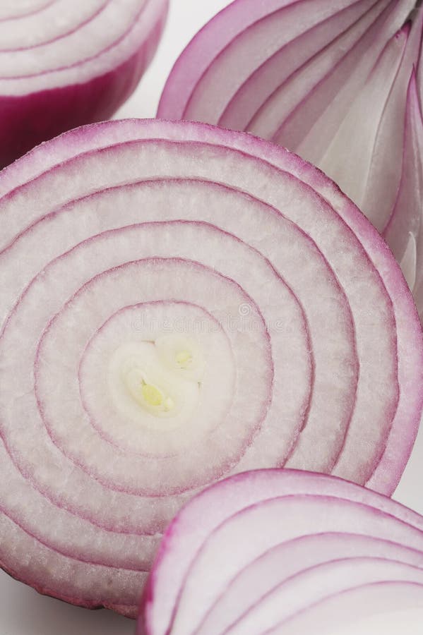 Sliced onion stock image. Image of root, vegetable, onion - 45891181