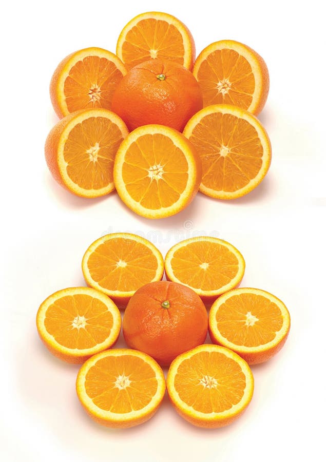 Sliced orange collection stock photo. Image of ripe, healthy - 17101972