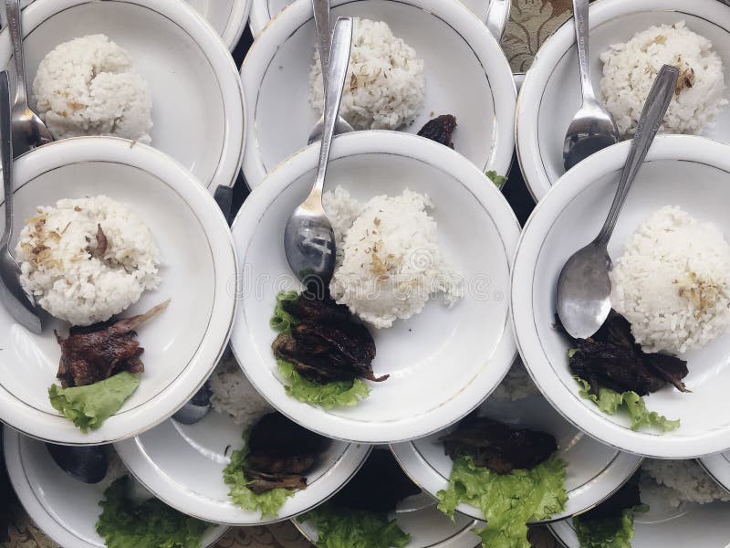 Sliced Peking Duck with White Rice on the White Plate Stock Image ...