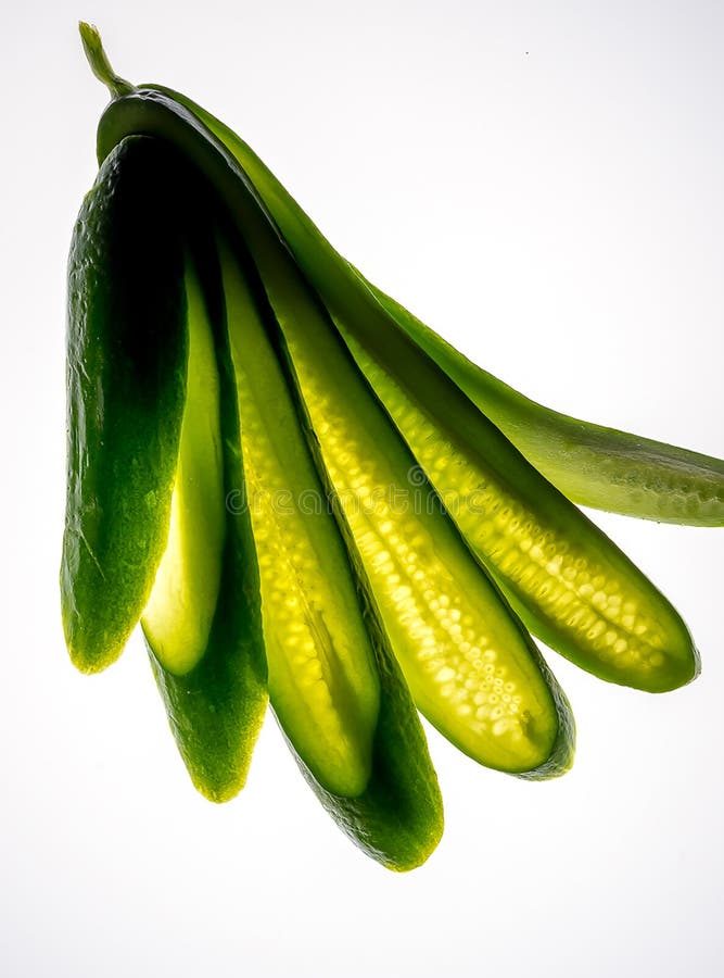 Sliced pickling cucumber stock photo. Image of cucmber - 268979452
