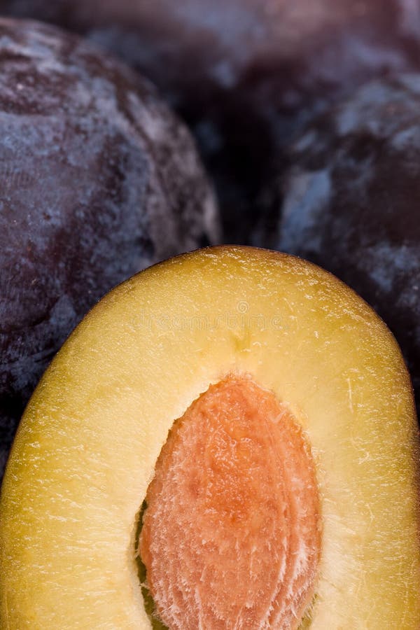 Sliced plum with pit stock photo. Image of plums, fruit - 26134386