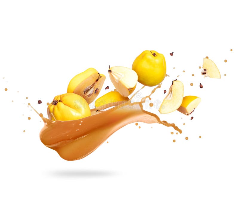 Quince Splash Stock Photos - Free & Royalty-Free Stock Photos from ...