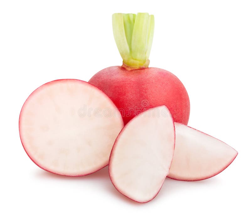 Radish stock image. Image of four, isolated, slices - 114434511
