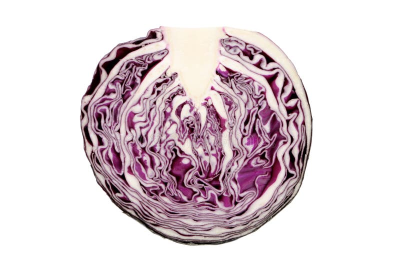 Sliced Red Cabbage stock photo. Image of clipping, organic - 3241224 Sliced Red Cabbage stock photo. Image of clipping, organic - 3241224