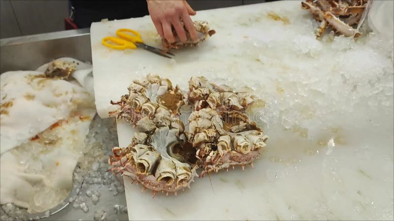 Sliced Snow Crabs at the Fresh Fish Market Stock Video - Video of claws ...