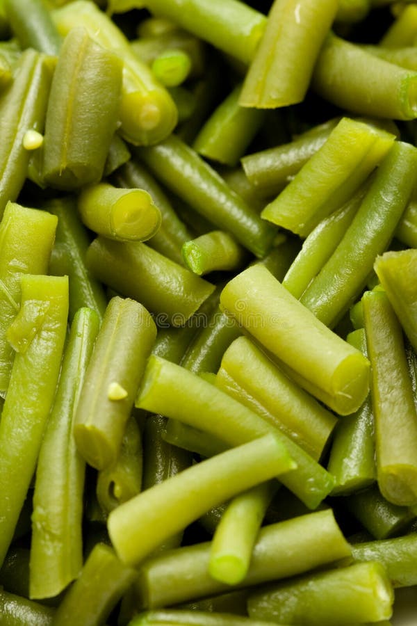 Celery texture stock photo. Image of veget, celery, vitamins - 551254