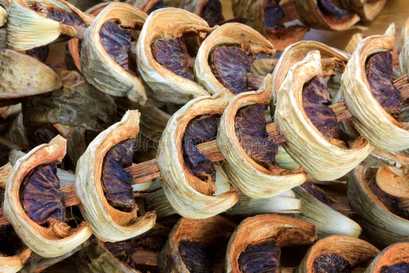 Sliced Sun-dried Betel Nuts (Areca Nut) Stock Photo - Image of medicine ...