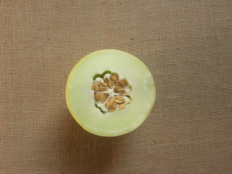 Sun melon fruit isolated stock photo. Image of berry - 170606606