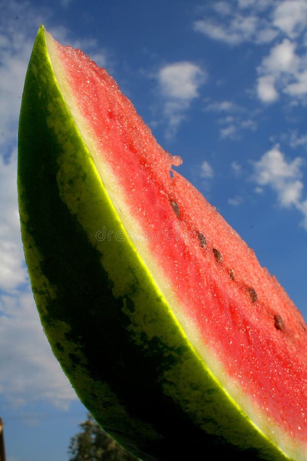 Sliced Watermelon with Seeds from Bottom Stock Image - Image of pink ...