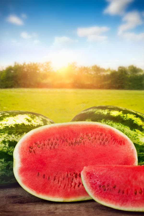 Sliced Watermelon on the Table Stock Image - Image of horizontal, ripe ...