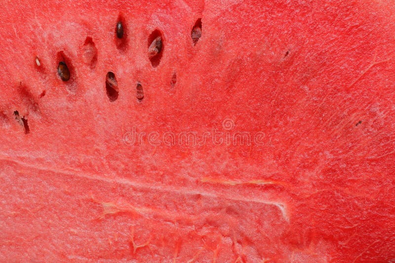 Sliced Watermelon Texture Background Stock Image - Image of seed, melon ...