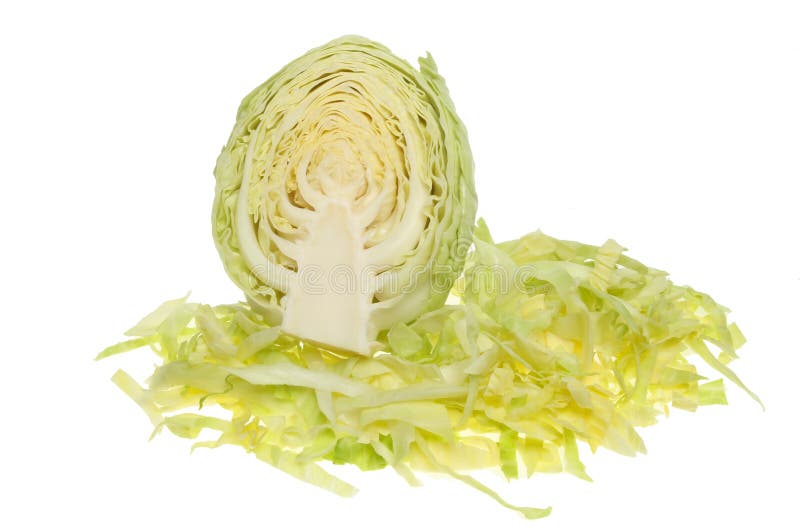 Sliced white cabbage stock image. Image of isolated, healthy - 26501033